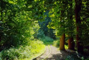 Amstelpark Amsterdam - stunning gardens to immerse within