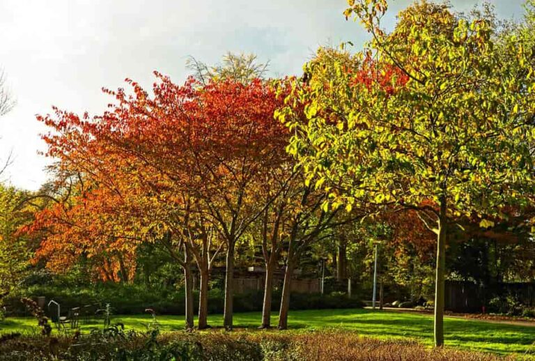 Amstelpark Amsterdam - stunning gardens to immerse within